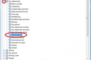 Worker Payment Issuance in AX R2 | Stoneridge Software