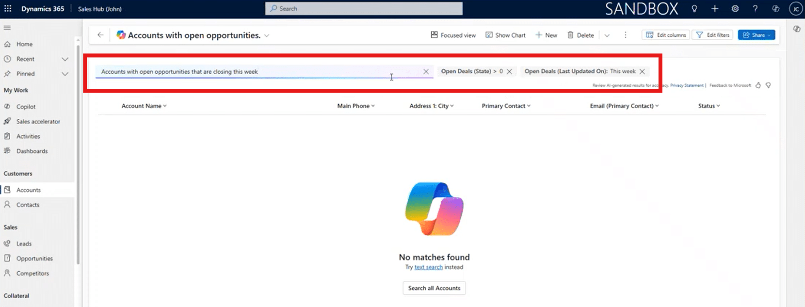 Find Customer Data Fast with Copilot's Natural Language Search in ...